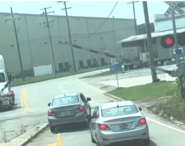 Not So Bright Line: Unique, Quirky, and Witty Designs for Bold Style ...